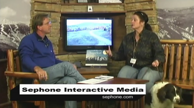 Sephone Interactive Media - WSKI TV 17