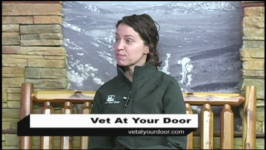 Vet At Your Door - Veterinary House Call Services - WSKI TV 17